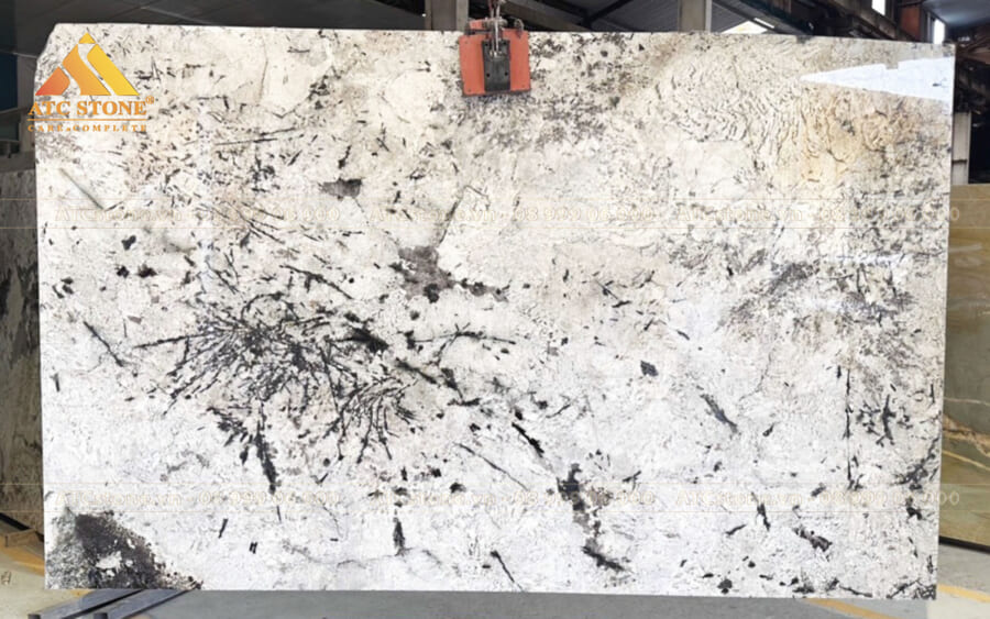 ĐÁ GRANITE SUNFLOWER - ATCSTONE